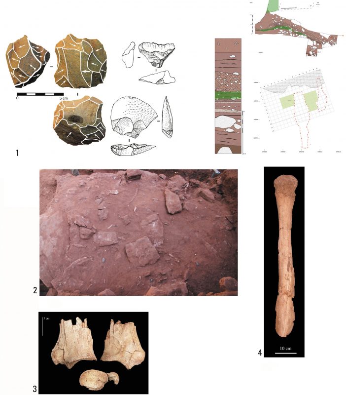 The Middle Paleolithic Occupations of Mutzig-Rain (Alsace, France ...