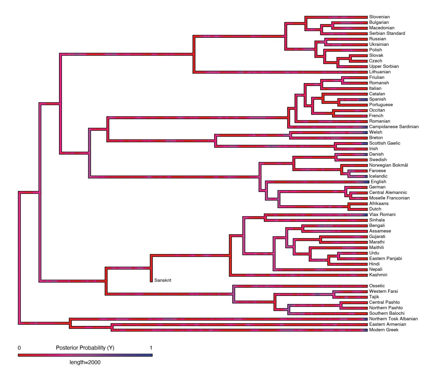 Dental fricatives: Patterning, evolution, and factors affecting a rare ...